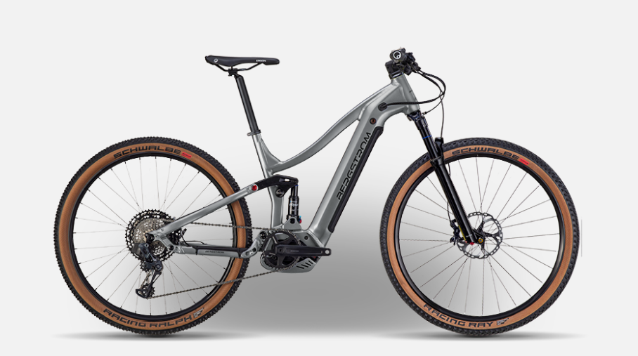 2022 Bergstrom XCV 849 for sale - New, Grey, Small - Liechtenstein
