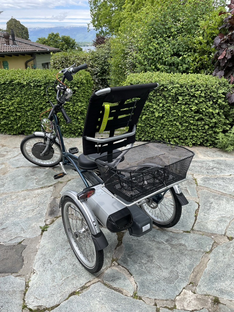 Van Raam Easy Rider Dreirad for sale - Used, , one size - Geneva