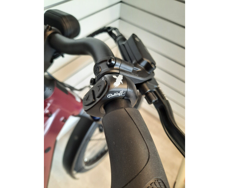 2024 Riese & Müller Charger 4 Gt Rohloff Hs Abs for sale - New, Red ...