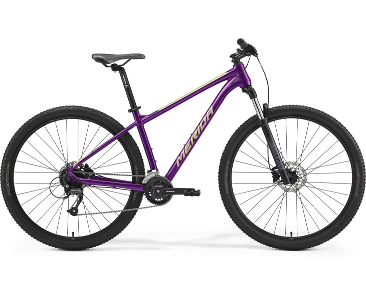 2024 MERIDA BIG.NINE 60 for sale - New, Purple, Medium - Schwyz